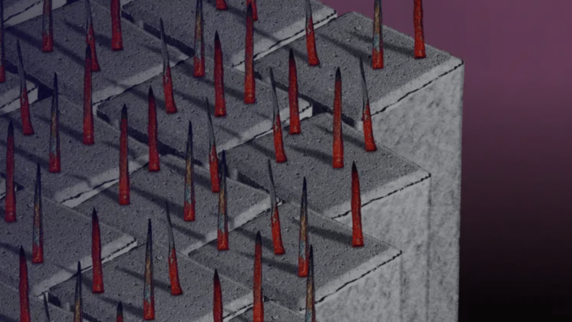 Webinar: "The Torture of Solitary Confinement" - Death Penalty FOCUS